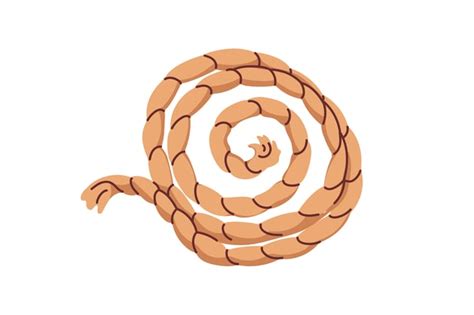 Ropes And Lasso Strings Set Objects Ft Rope And Lasso Envato