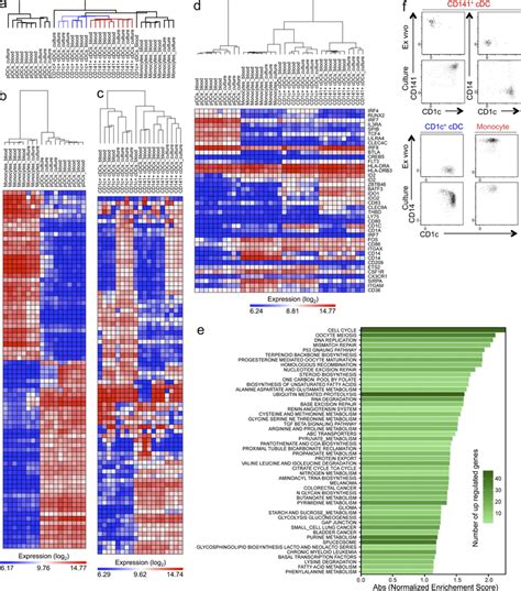 Culture Derived Dcs Resemble Primary Dcs A E Transcriptional