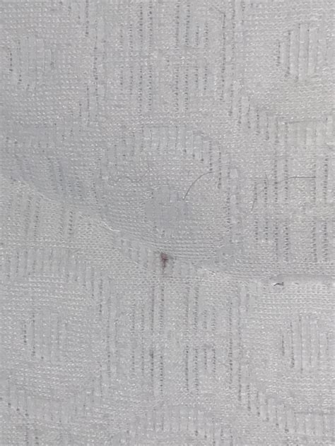 Sings Of Bedbugs R Bedbugs