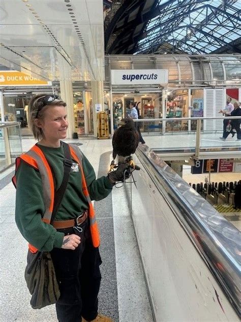 Falcon Oldwaysthebest Recruitment Sales Alex Broadbridge