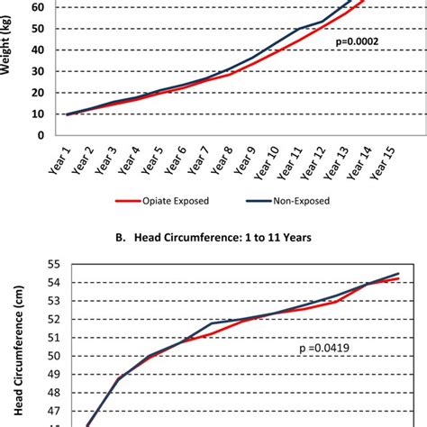 The Human Menstrual Cycle And Rat Estrous Cycle The Human Menstrual