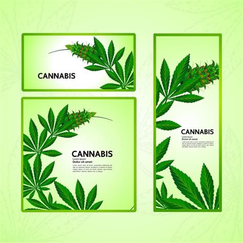 Premium Vector Cannabis Background For Product Or Package Vector