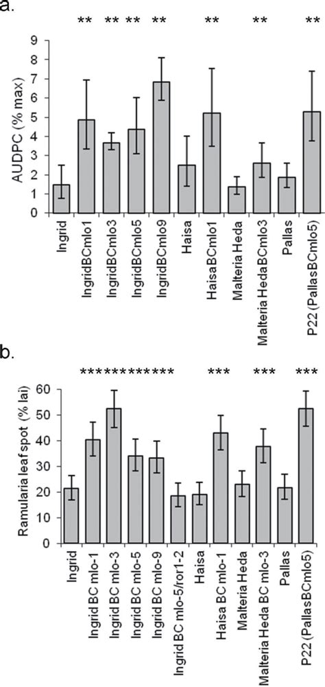 Ramularia Leaf Spot Development On Near Isogenic Mlo Mutant Lines In
