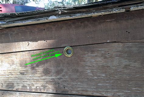 arduino automatic chicken coop door