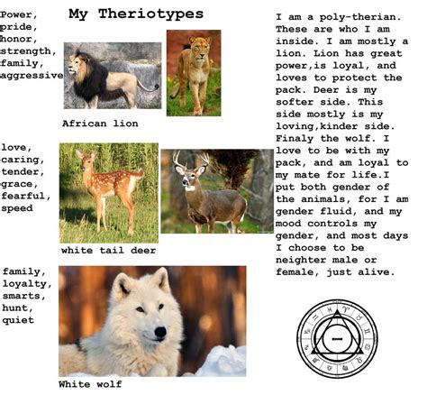 My Theriotypes By Sweetcandyelf On Deviantart