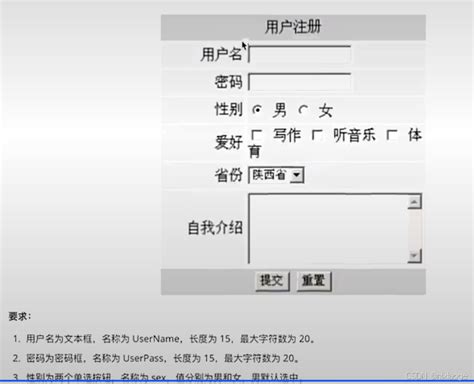 Web前端表单 Csdn博客