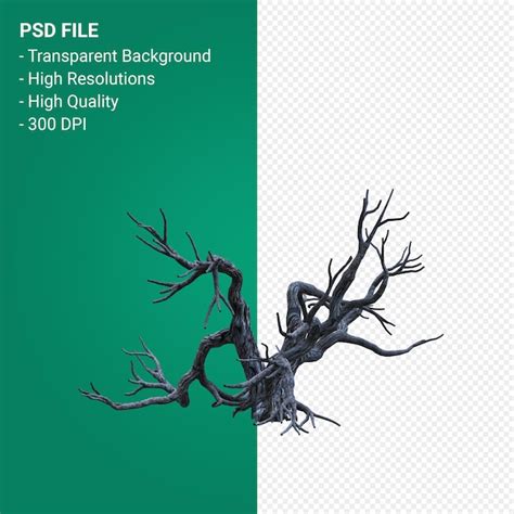 Tree Root Psd 1000 High Quality Free Psd Templates For Download