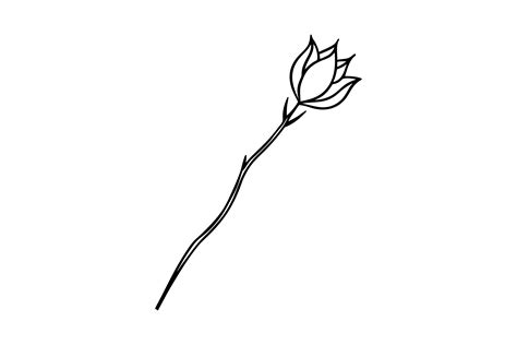 Simple Stem Sketch Graphic By Graphic Craft Innovators · Creative Fabrica