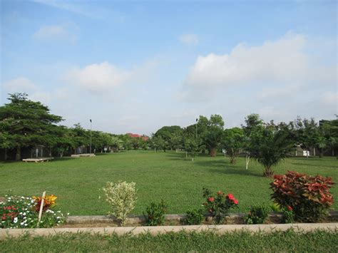 Fr Jerry Orbos Svd Live Now Holy Mass 11 00am Sunday June 22 2025 At The Diocesan