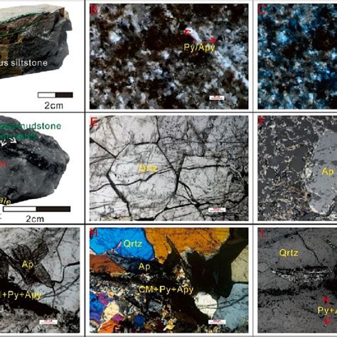 Hand Specimens And Photomicrographs Of Samples From The Gaolong Au