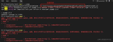 Pnpm 无法将 Pnpm”项识别为 Cmdlet、函数、脚本文件或可运行程序的名称。请检查名称的拼写，如果包括路径，请确保路径正确，然后