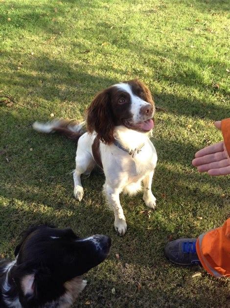 Barni Bear Is Fundraising For Breakthrough T1d