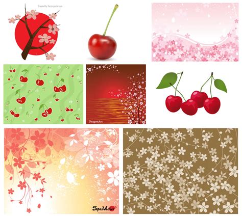 Captivating Sakura Cherry Vector And Background Designs 123freevectors