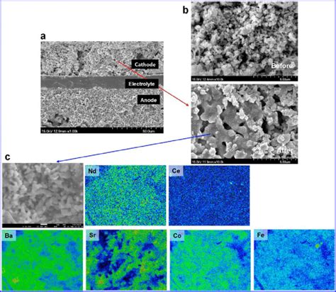 Sem Images And Epmawdx Analyses Of Anode Supported Cell After Download Scientific Diagram