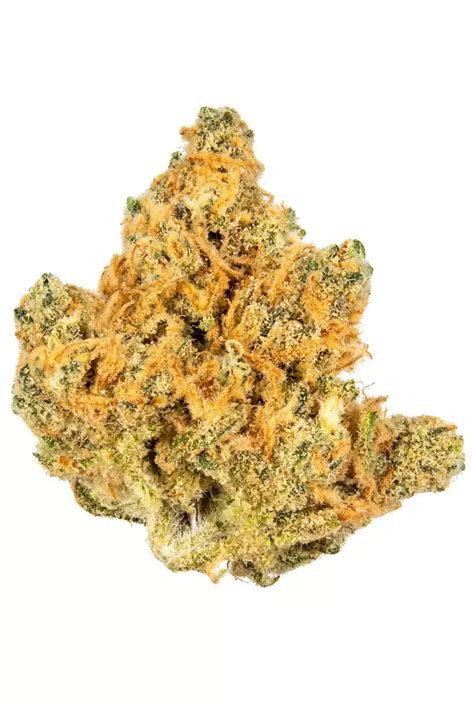 Freakshow Strain