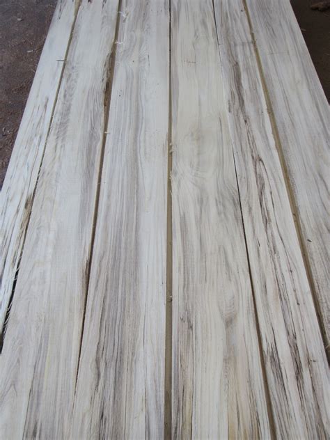 Spalted Hackberry Wood