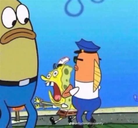 Pin By Anailah Hill Hill On Memes Spongebob Funny Pictures Spongebob