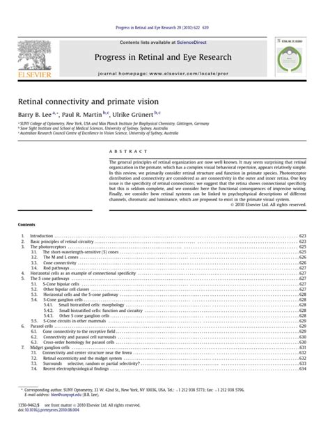 Pdf Primate Retinal Connectivity Dokumentips