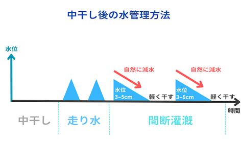 間断かんがいとは 間断潅水とは 技 術 書 Emsry