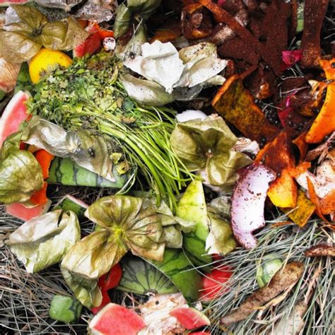 Scepter Compost Bin Assembly Instructions At Jake Town Blog