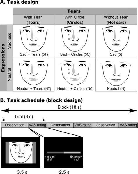 Experimental Design A Task Designs We Adopted A Within Subjects Download Scientific Diagram
