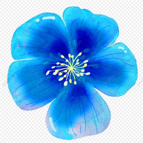 Clip Art De Flor Azul Claro