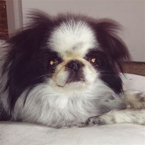 Barbara Runkel Youtube