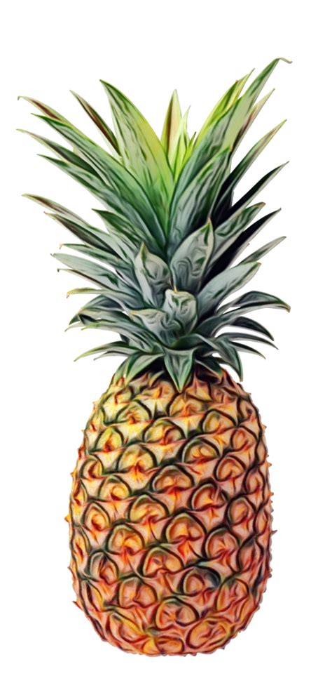 Pineapple Transparency Clip Art Juice Food Png Download 500 1048