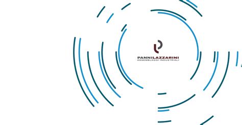 Panni E Lazzarini Gli Assemblatori Con Lx Factor Che Supportano Le Startup Polihub