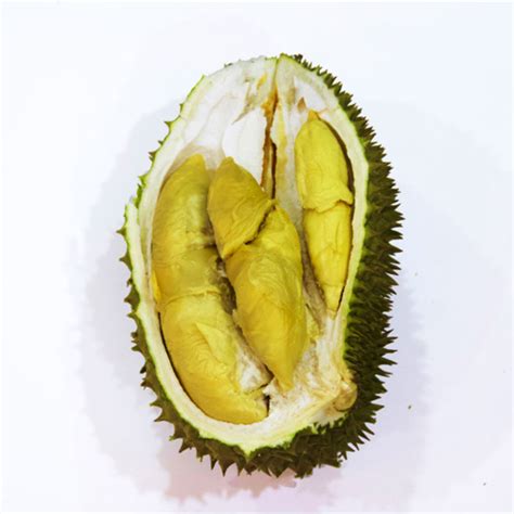 Tekka Mun Meng Fruits Sdn Bhd