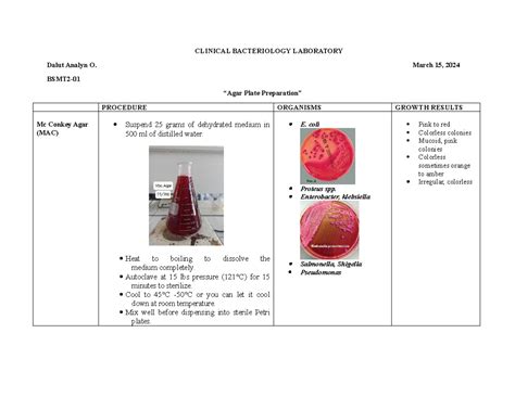 Clinical Bacteriology Lab Agar Plate Preparation Procedures Studocu