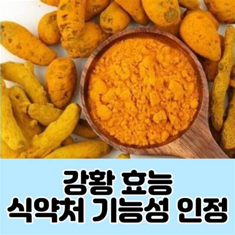 강황이란 무엇인가 식약처 기능성 인정 강황 효능 7가지 부작용 총정리