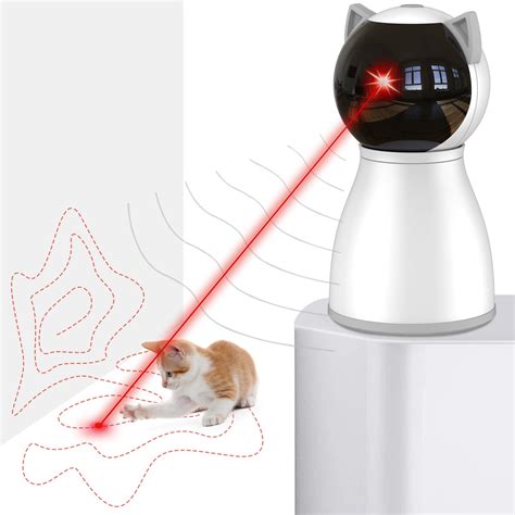 Best Automatic Cat Toys For Your Feline Friends Entertainment I Love
