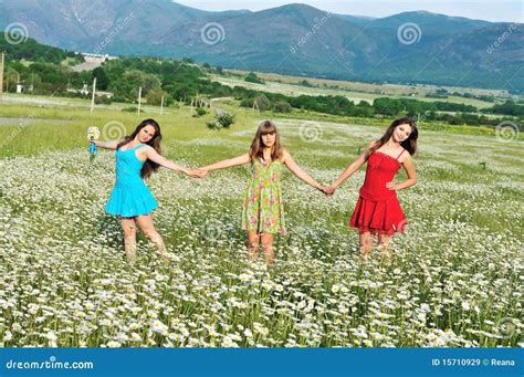 Daisy Day Stock Image Image Of Carefree Beauty Daisy 15710929