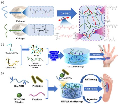 Dynamic Crosslinking Hydrogel Dressings Encyclopedia Mdpi