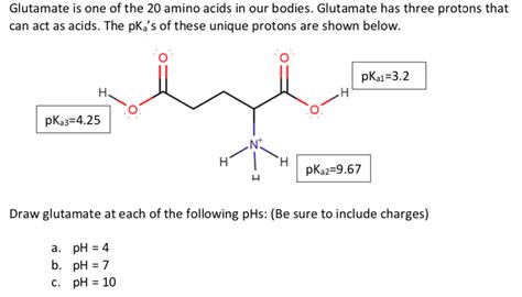 Glutamate Structure At Ph 7