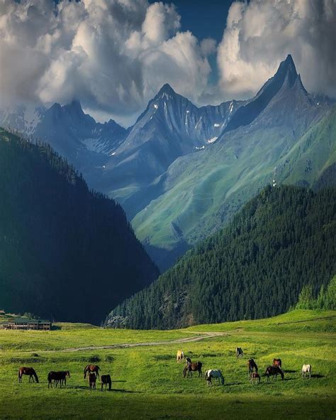 Julie Bindas En Linkedin Asia 21 Comentarios