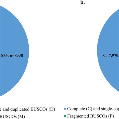 The Busco Evaluation Result Of The Greater Scaups Genome Assembly