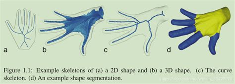 三维模型骨架提取精要 Csdn博客