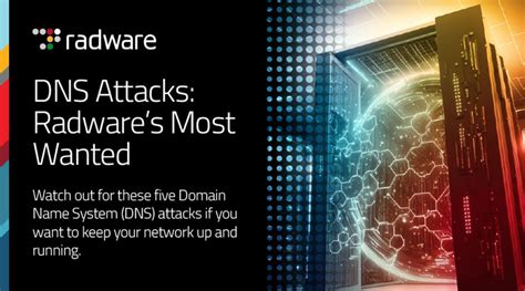 Discover Radwares Groundbreaking Dns Ddos Protection Solution Accurately Identifying And