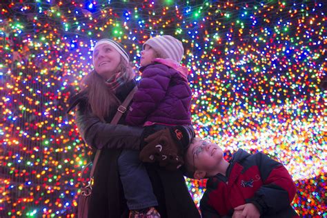 Guide Holiday Light Shows In Portland