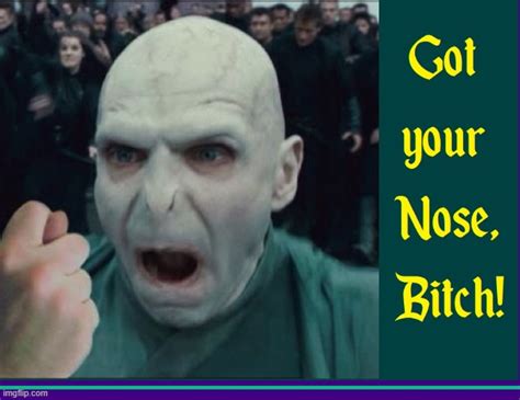 Voldemort Got Your Nose Meme