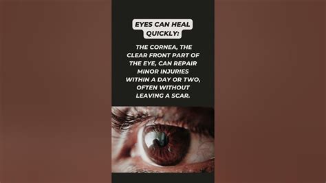 Strange Facts About The Eye Youtube