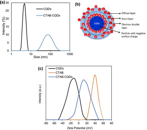 A Dls Measurements Of Cqds And Ctab Cqds The Hydrodynamic Diameters Of