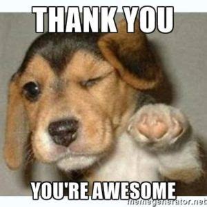 100 Thank You Memes Images And Funny Thanks Meme Pics Puppies Funny