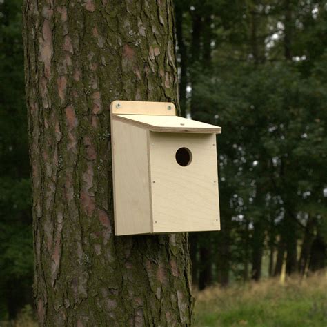 Bird Box Kit The Nestbox Company