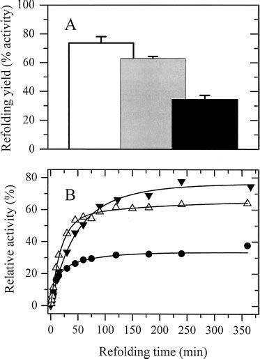 Effects Of Concentrations Of Macromolecular Crowding Agents On Lysozyme