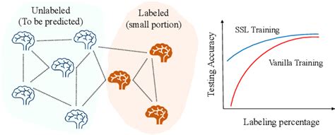Figure 1 From Gate Graph Cca For Temporal Self Supervised Learning For Label Efficient Fmri