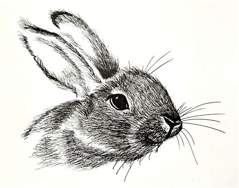 Thursday Art And Dinner Date Rabbits