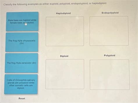 Solved Classify The Following Examples As Either Euploid